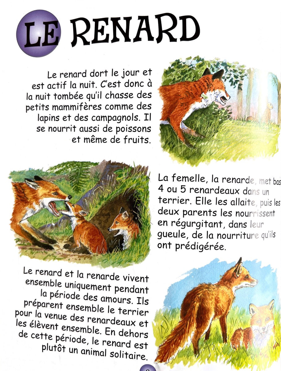 Première découverte des animaux - Les animaux de la forêt- Book in ...