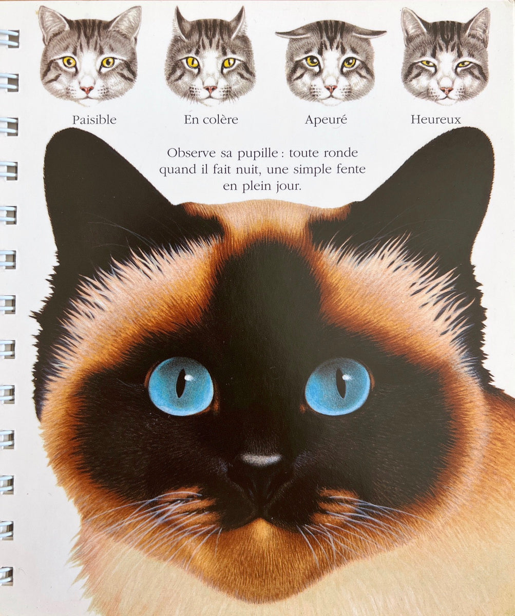 Mes premières découvertes : Le chat - Book in French – My French bookstore