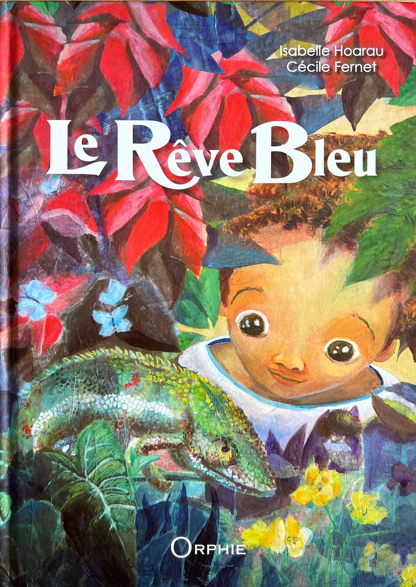 Le rêve Bleu by isabelle Hoarau & Cecile Fernet - Book in French – My ...